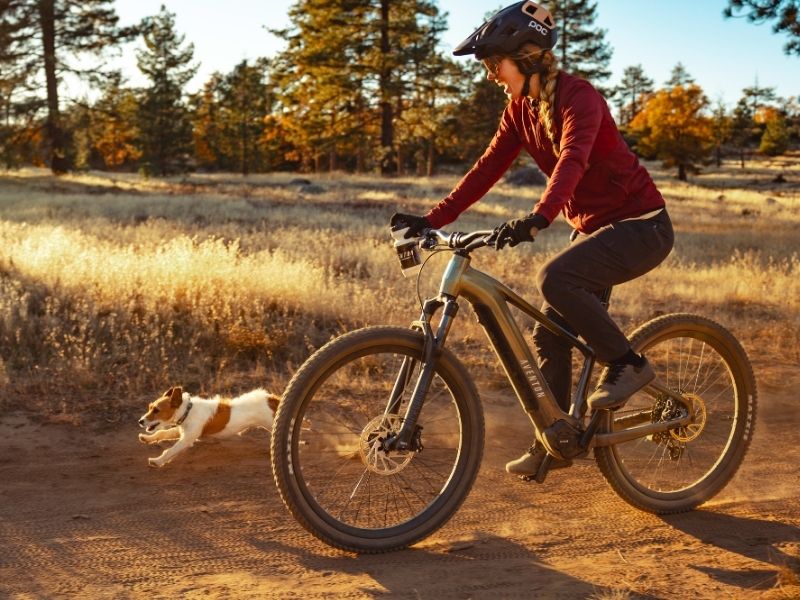 Mid-Drive E-Bikes | More Torque, Efficiency and Linear Ride – House of Bikes