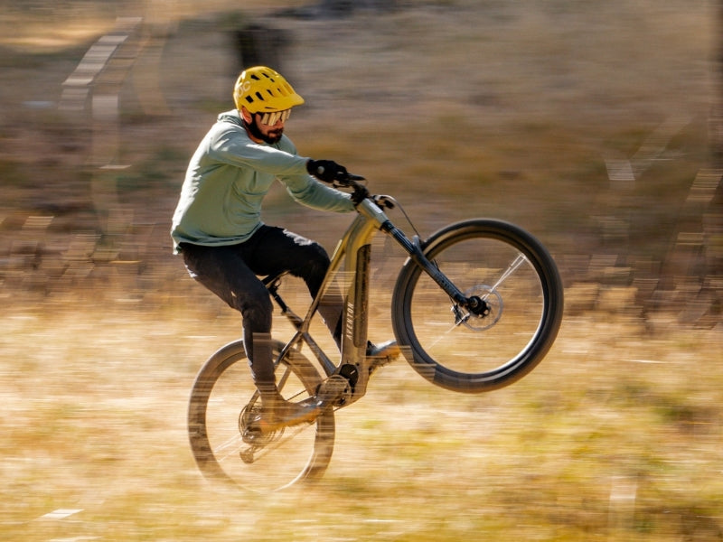 High-Performance E-Bikes | The Best & Fastest Electric Bikes – House of ...